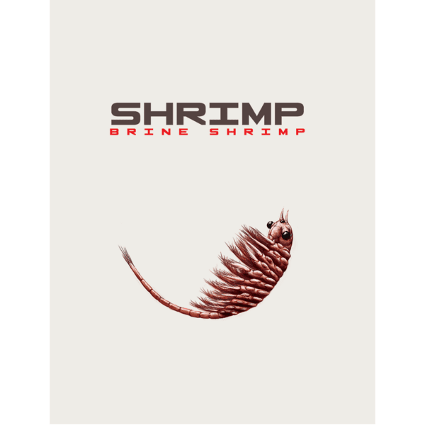 Brine Shrimp by Shrimp (Album): Reviews, Ratings, Credits, Song list ...
