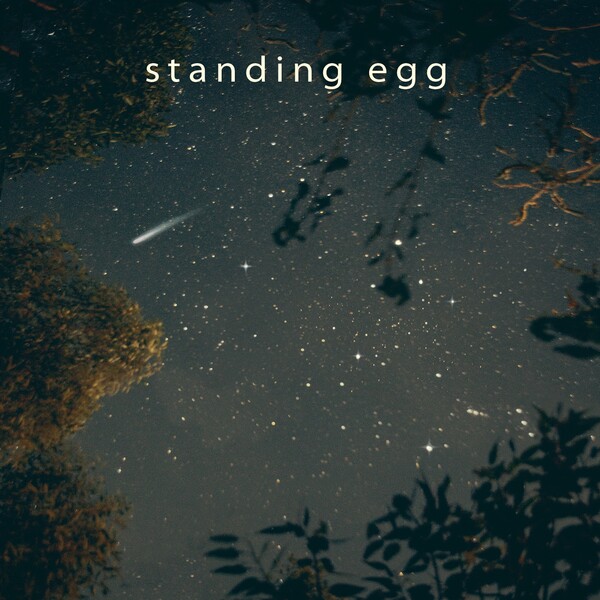 Starry Night by Standing Egg (Single): Reviews, Ratings, Credits, Song ...