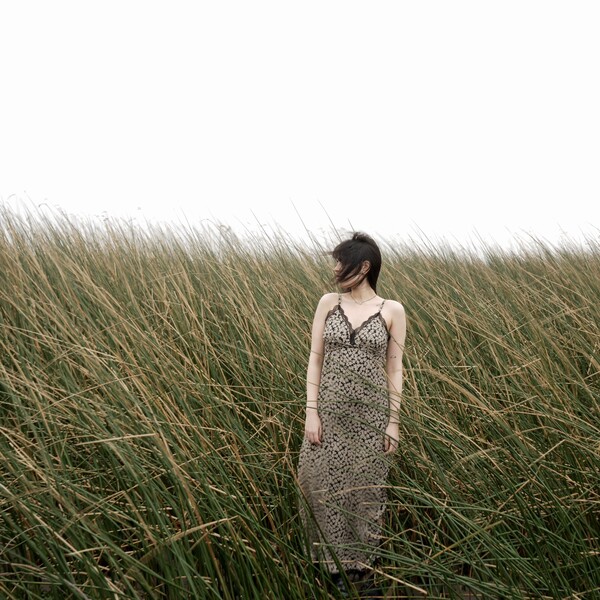 Viole Vecchio Albums: songs, discography, biography, and listening guide - Rate Your Music