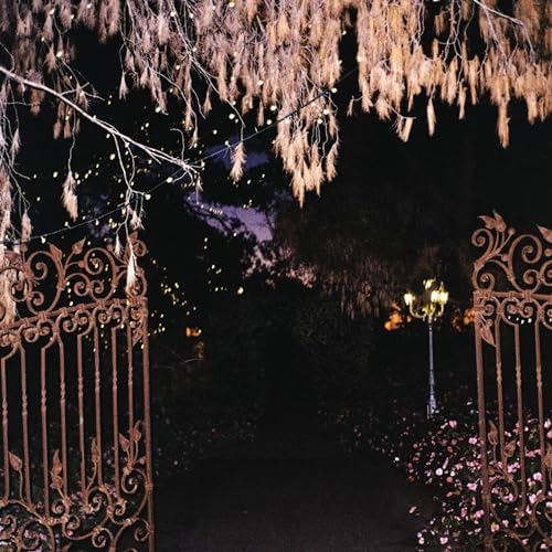 Israel's Arcade Albums: songs, discography, biography, and listening ...