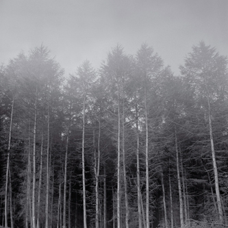 Landings by Richard Skelton (Album, Ambient): Reviews, Ratings, Credits ...