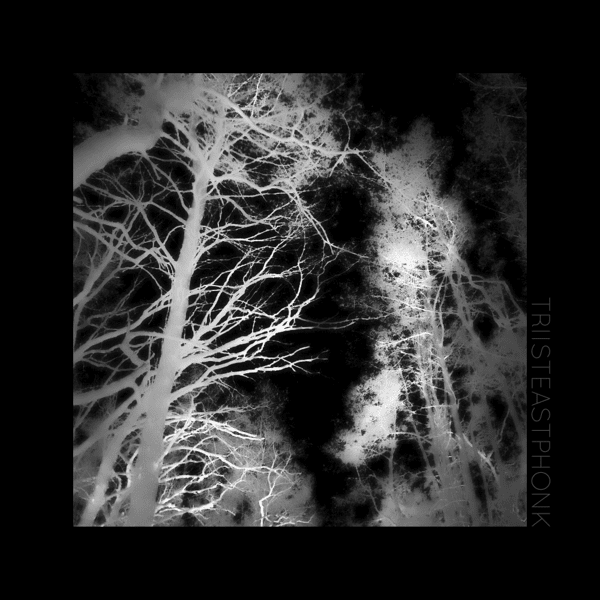 Trist East Phonk II by Julien Urner (Album, Instrumental Hip Hop ...