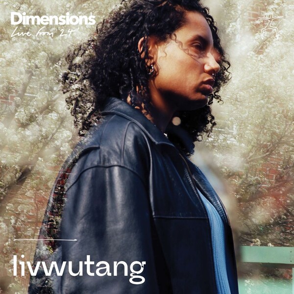 Dimensions 2024: Olive Grove by livwutang (DJ Mix): Reviews, Ratings ...