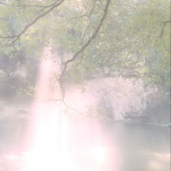 spring albums - Rate Your Music