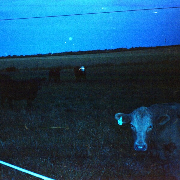 Antarctica by waveform* (Album, Indie Rock): Reviews, Ratings, Credits ...