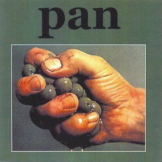 Pan by Pan (Album, Psychedelic Rock): Reviews, Ratings, Credits, Song ...