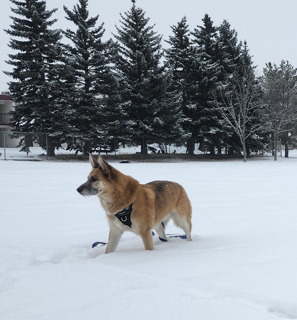 Metal Sub-Sub-Genres - NWOBHM - Rate Your Music