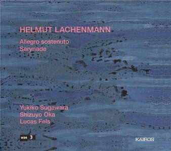Allegro sostenuto; Serynade by 菅原幸子 [Yukiko Sugawara] / Shizuyo Oka ...