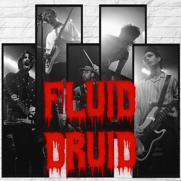 Nobody Asked For This (A Live Album) by Fluid Druid (Album): Reviews ...