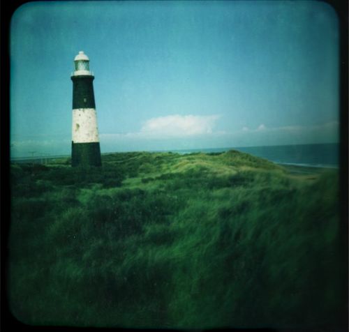 Blue Roses Albums: songs, discography, biography, and listening guide ...