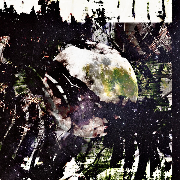 Gnarl Full Moon by DJ Witch B!tch (Mixtape, Electronic): Reviews ...