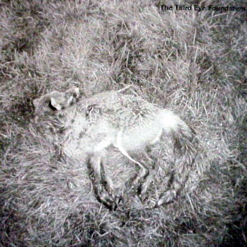 Semtex by The Third Eye Foundation (Album, Illbient): Reviews, Ratings ...