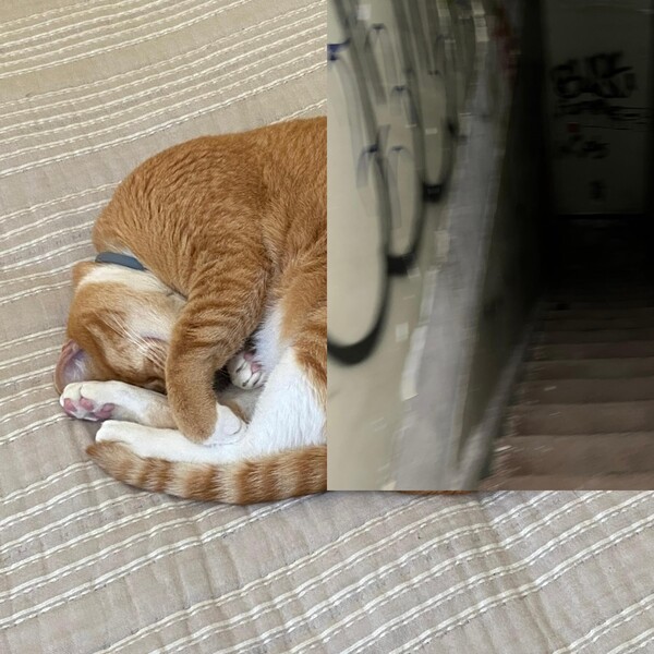 Today I Laid Down by bl4ck m4rket c4rt (Album, Slowcore): Reviews ...