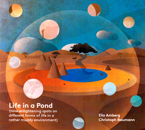 Life in a Pond (Nine Enlightening Spots on Different Forms of Life in a ...