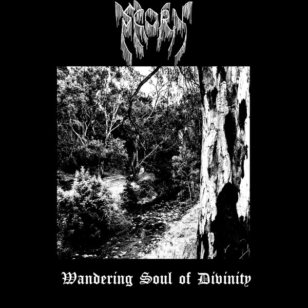 Wandering Soul of Divinity by Scorn (Additional release): Reviews ...