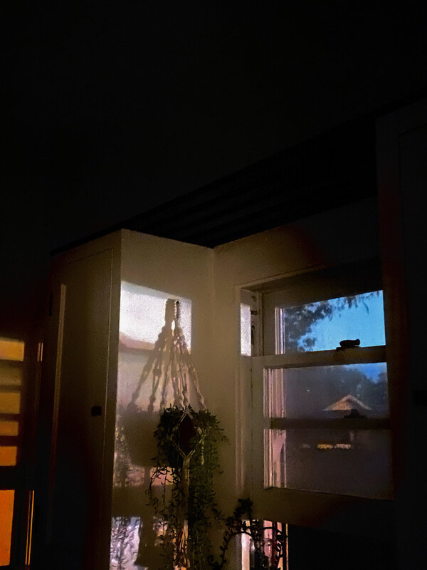 Bad Nerve Symphony Albums: songs, discography, biography, and listening ...