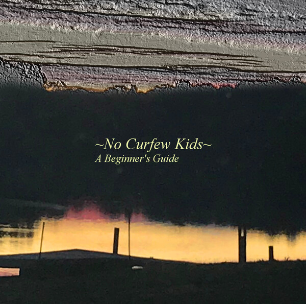 A Beginner's Guide by No Curfew Kids (Compilation, Electronic): Reviews ...