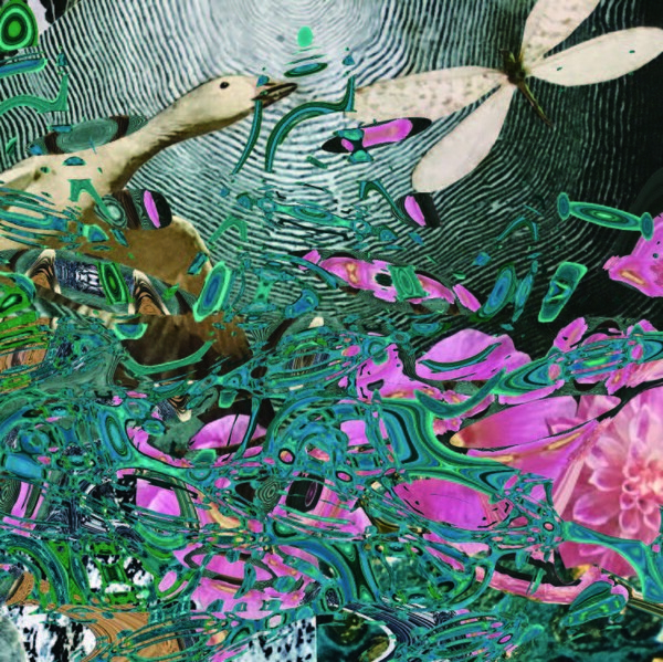 White Bird by Merzbow (Album, Noise): Reviews, Ratings, Credits, Song ...