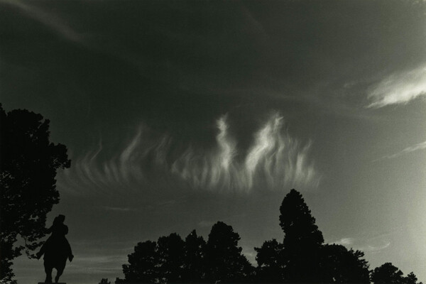 x x v i s - Rate Your Music