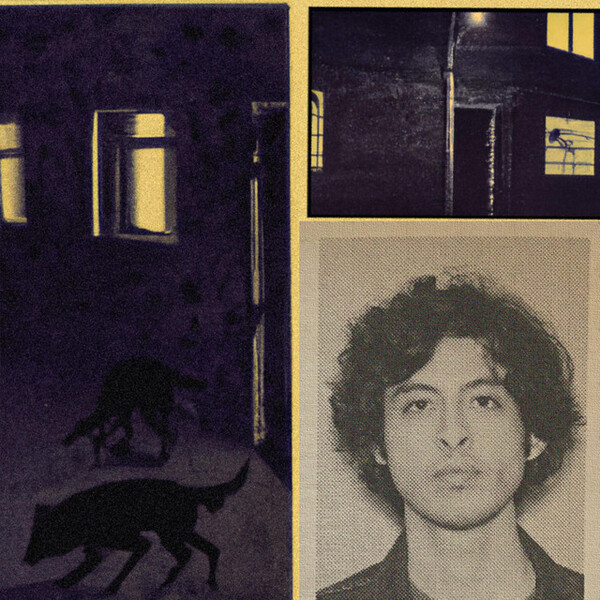 Canine Years by Psuedo Desnudo (Album, Post-Punk): Reviews, Ratings ...