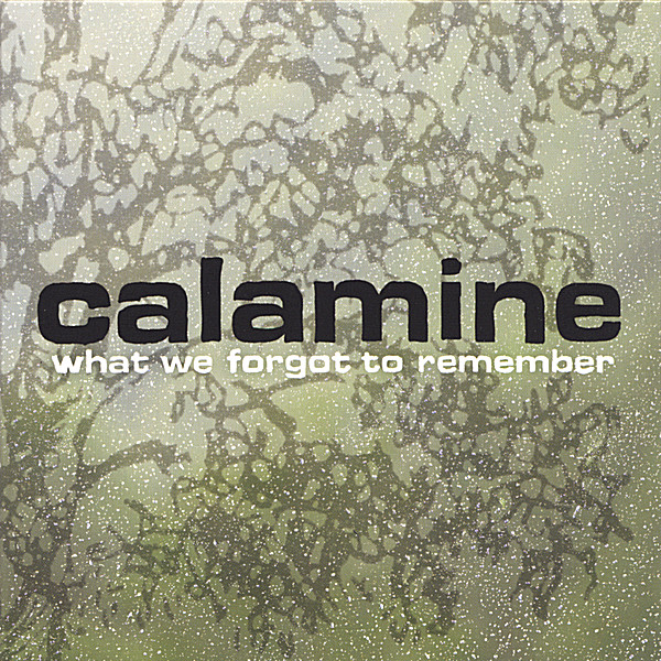 What We Forgot to Remember by Calamine (Album, Indie Pop): Reviews ...