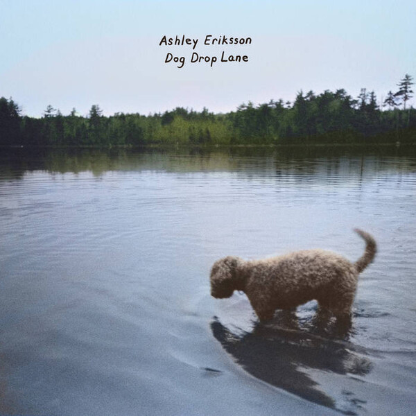 Dog Drop Lane by Ashley Eriksson (Album): Reviews, Ratings, Credits ...