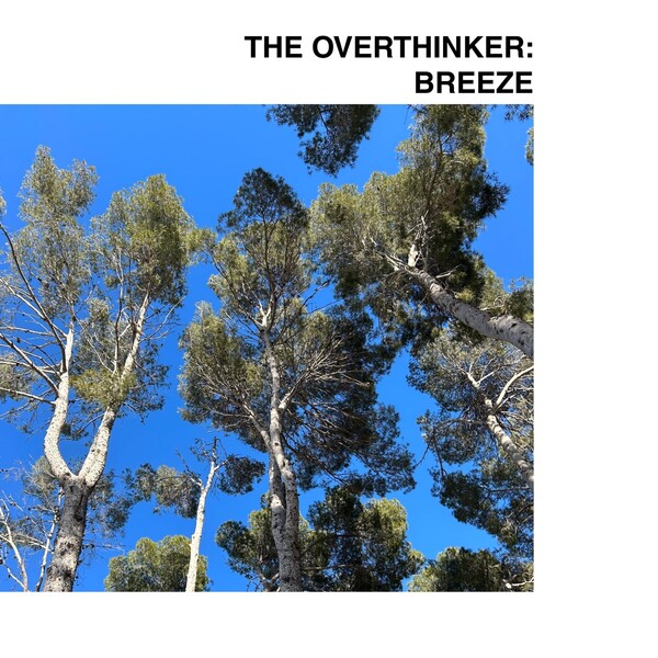Breeze by The Overthinker (Single): Reviews, Ratings, Credits, Song ...