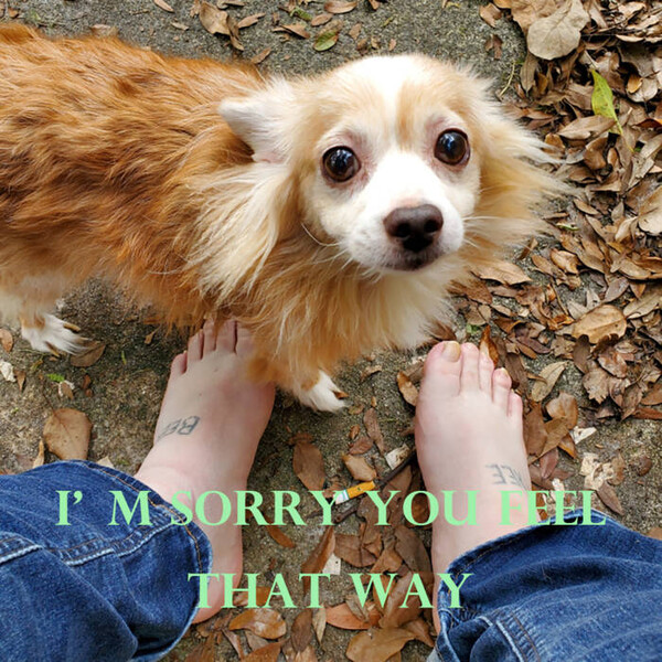 I'm sorry you feel that way by Skirtchaser (Album): Reviews, Ratings ...