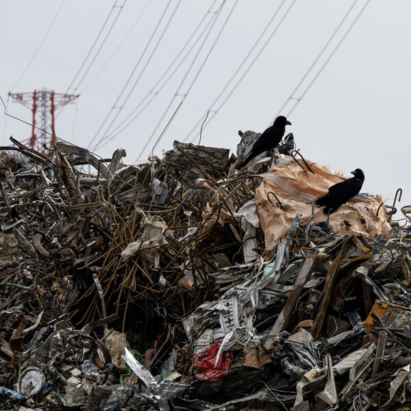 computer fight Albums: songs, discography, biography, and listening guide - Rate Your Music