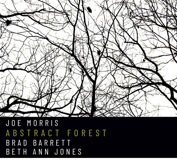 Abstract Forest by Joe Morris, Brad Barrett & Beth Ann Jones (Album ...