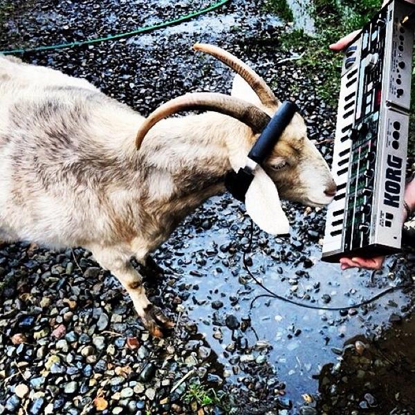 Goatwave - Rate Your Music