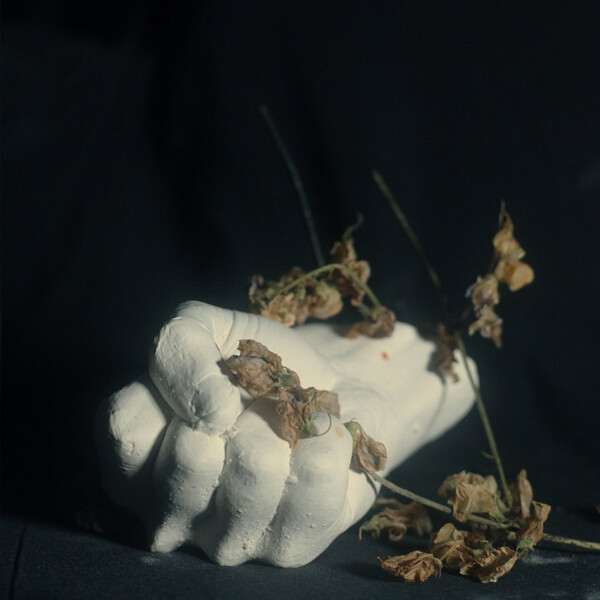 Pain Magazine Albums: songs, discography, biography, and listening ...