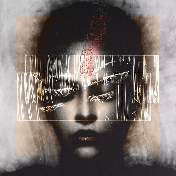 Profile: PLF - Rate Your Music