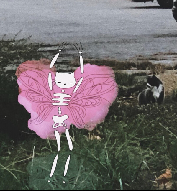 cicadahead Albums: songs, discography, biography, and listening guide ...