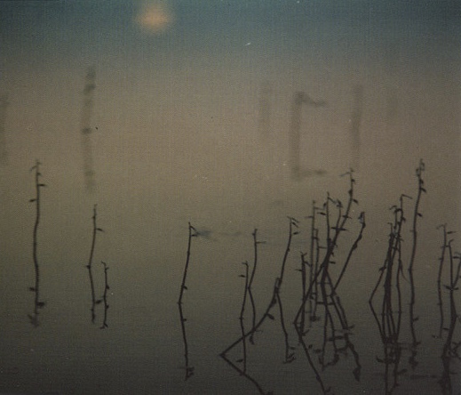 Hallavedet by Tenhi (EP, Dark Folk): Reviews, Ratings, Credits, Song ...