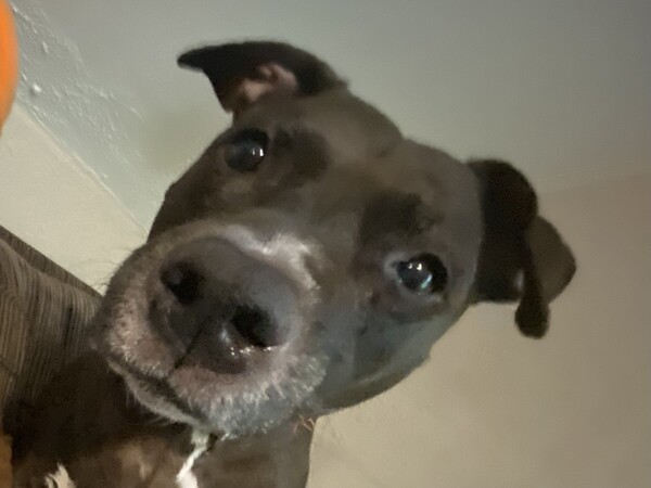 My Top 50 EP’s & Demos [Page 2] - Rate Your Music