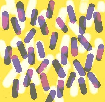 Fine Time / Don't Do It by New Order (Single, Alternative Dance ...