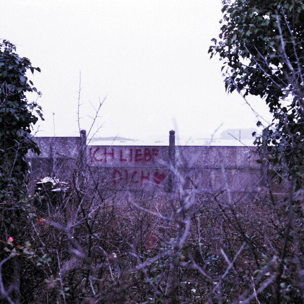 Best albums of the decade so far (2020s) - Rate Your Music