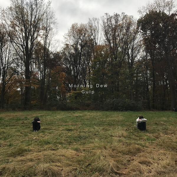 Gulp by Morning Dew (Album, Screamo): Reviews, Ratings, Credits, Song ...