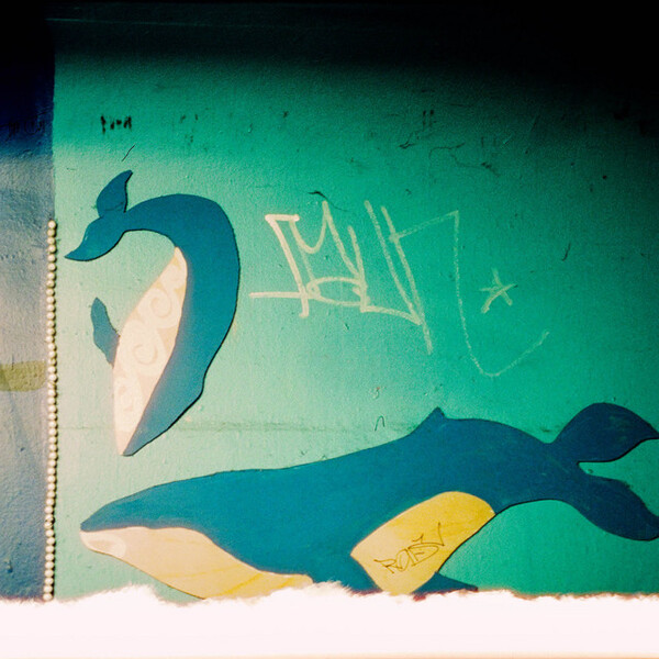 A Town by the Sea by Red Moon Cowboy (Single): Reviews, Ratings ...