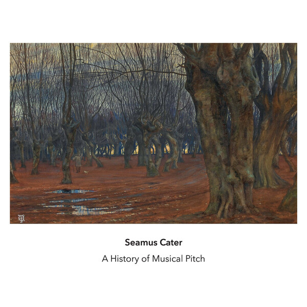 A History of Musical Pitch by Koen Nutters / Seamus Cater / Peter ...