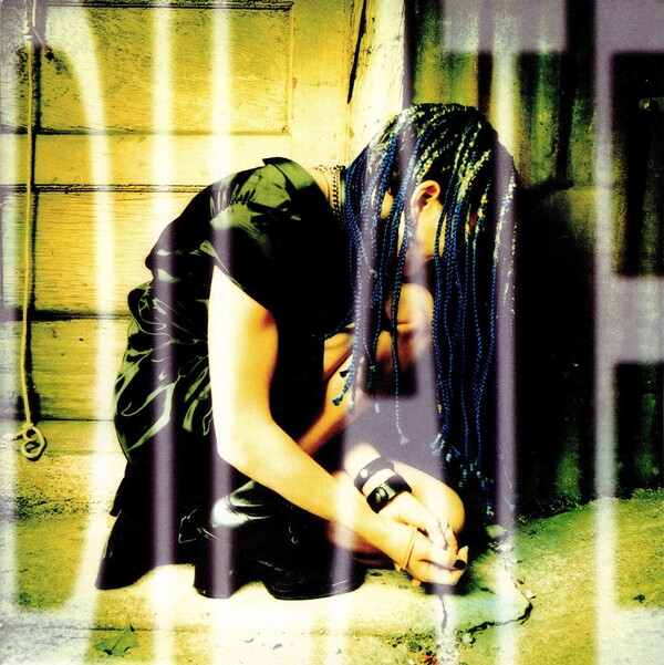 Ani DiFranco Albums: songs, discography, biography, and listening guide ...