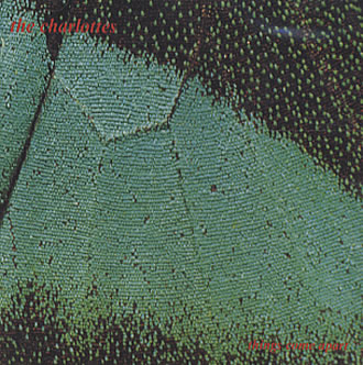 The Charlottes Albums: songs, discography, biography, and listening ...