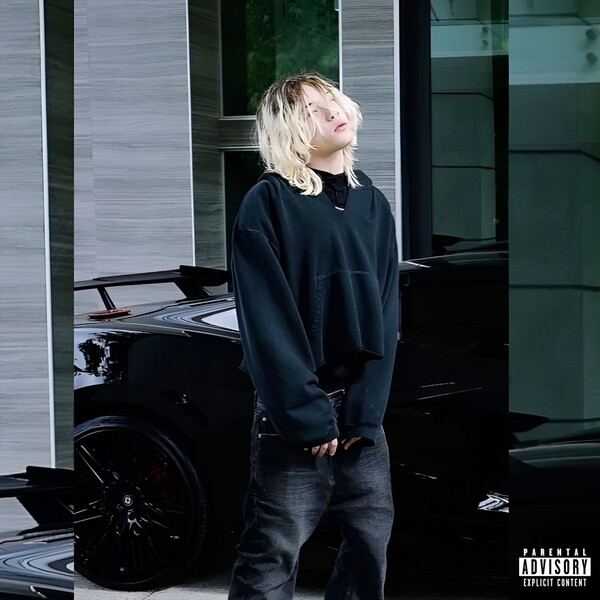 Goyard by Nettspend (Single, Trap): Reviews, Ratings, Credits, Song ...