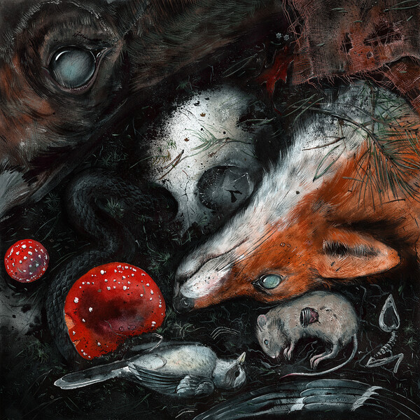 Рожь Albums: songs, discography, biography, and listening guide - Rate ...