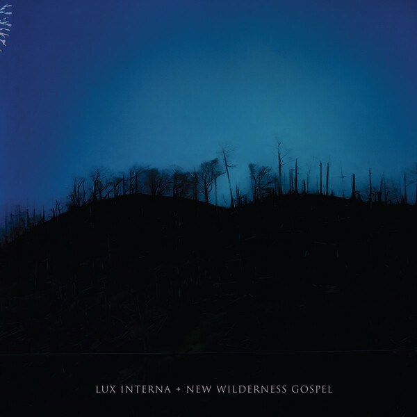New Wilderness Gospel by Lux Interna (Album): Reviews, Ratings, Credits ...