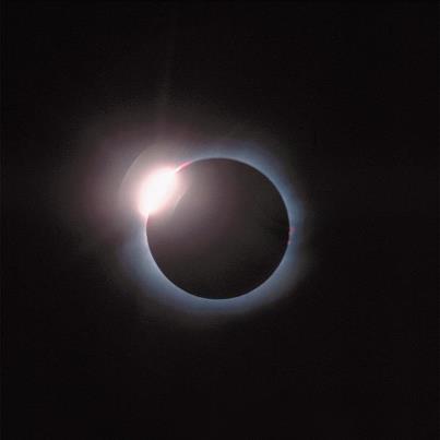 Hail Bop by Django Django (Single, Synthpop): Reviews, Ratings, Credits ...