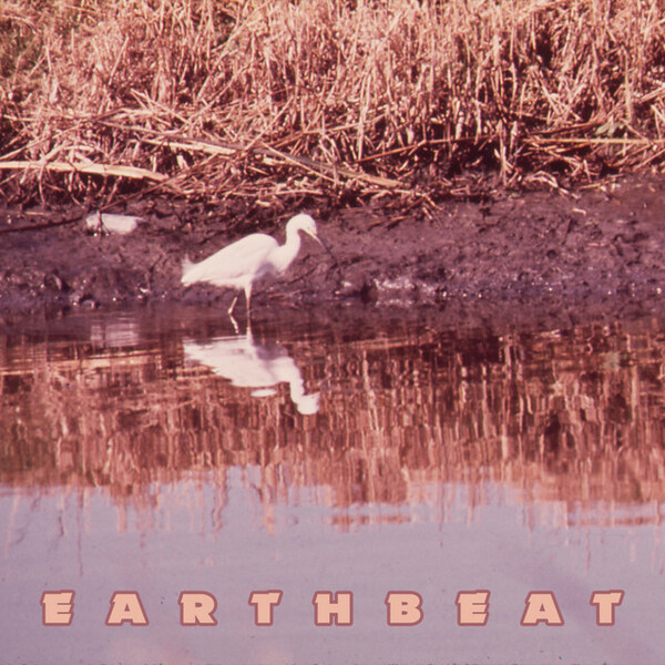 Earthbeat by Static Noise Bird (Single, Techno): Reviews, Ratings ...