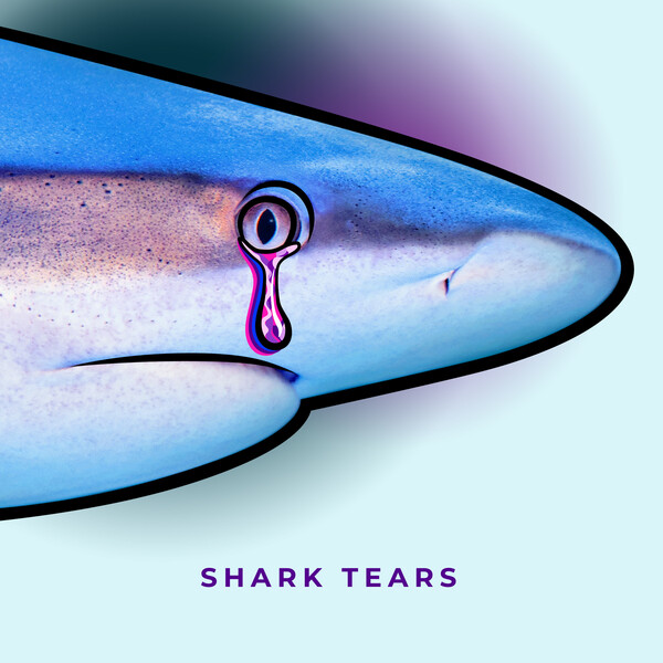 Shark Tears by The FloodShark (Single): Reviews, Ratings, Credits, Song ...
