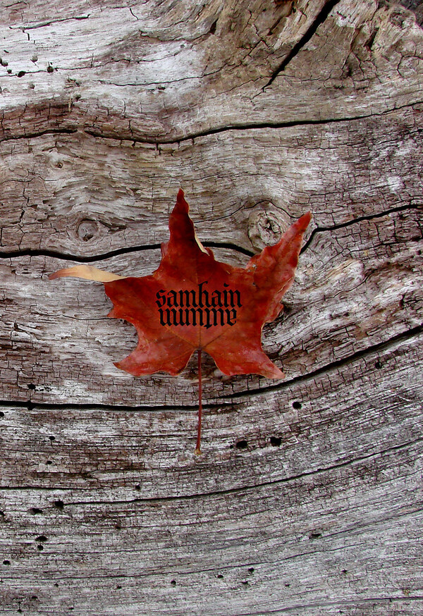 Samhain - Autumn by Forgotten Land (Album, Dark Ambient): Reviews ...